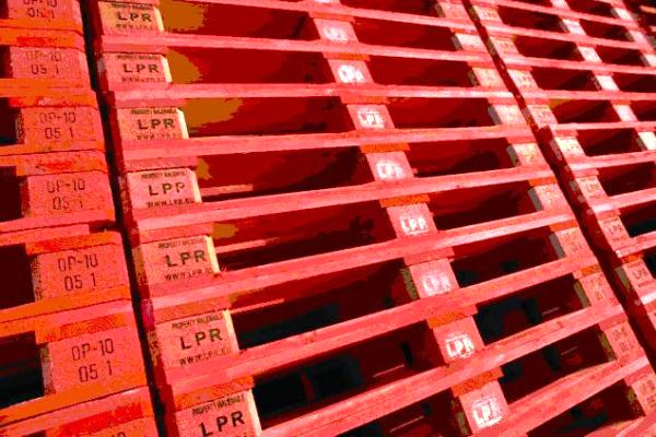 LPR groeit in groente- en fruitsector • TTM.nl