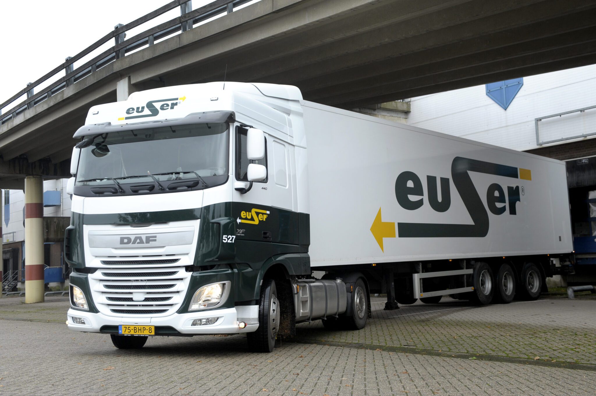 Euser is vanaf nu Koninklijk • TTM.nl