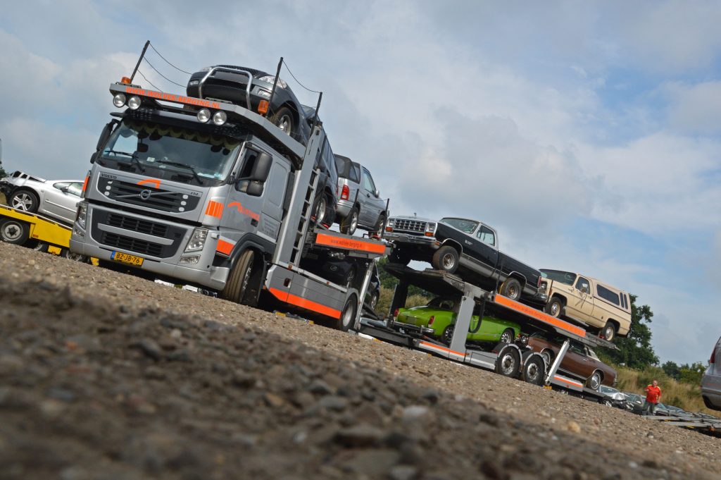 Wolves redt door het hele land • TTM.nl